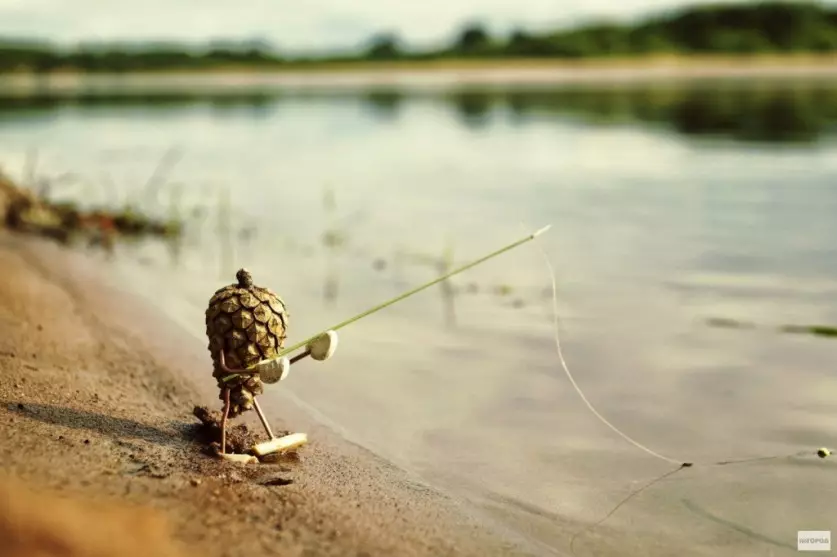 I-Adventures ye-Pine Cone ... I-Viforgrapher Victor Kvassos 11941_13