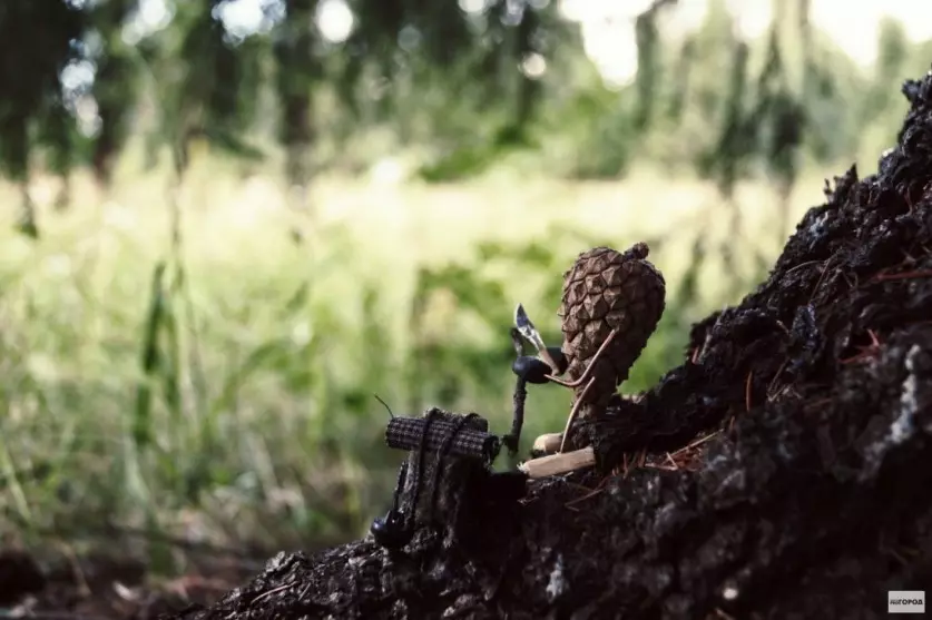 I-Adventures ye-Pine Cone ... I-Viforgrapher Victor Kvassos 11941_14