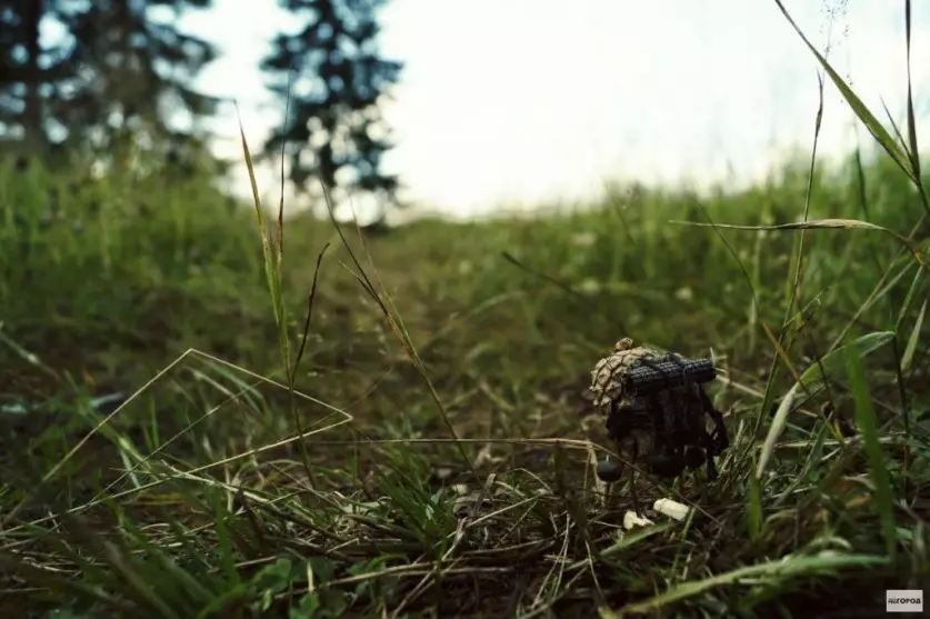 I-Adventures ye-Pine Cone ... I-Viforgrapher Victor Kvassos 11941_16