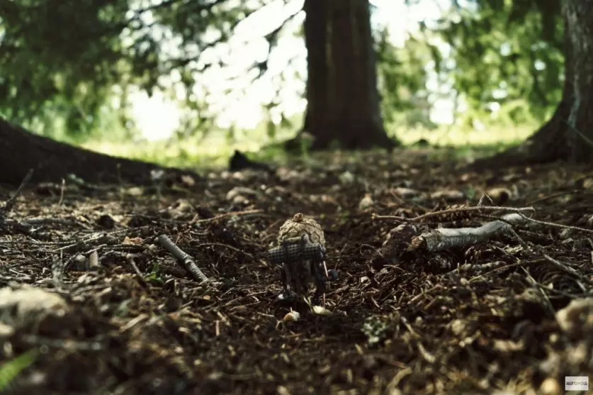 I-Adventures ye-Pine Cone ... I-Viforgrapher Victor Kvassos 11941_19