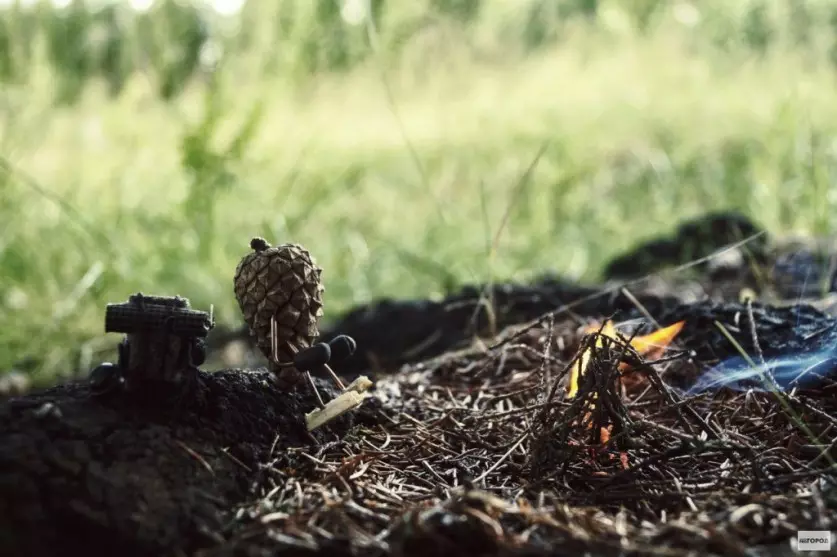 I-Adventures ye-Pine Cone ... I-Viforgrapher Victor Kvassos 11941_20