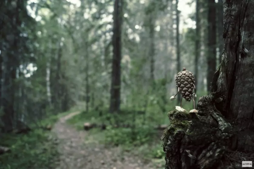 I-Adventures ye-Pine Cone ... I-Viforgrapher Victor Kvassos 11941_5