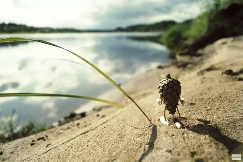 I-Adventures ye-Pine Cone ... I-Viforgrapher Victor Kvassos 11941_9