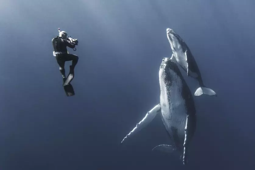 Marine Mamfals Gaby Barayuya'nın çarpıcı fotoğrafları (Gaby Barathieu) 11951_2