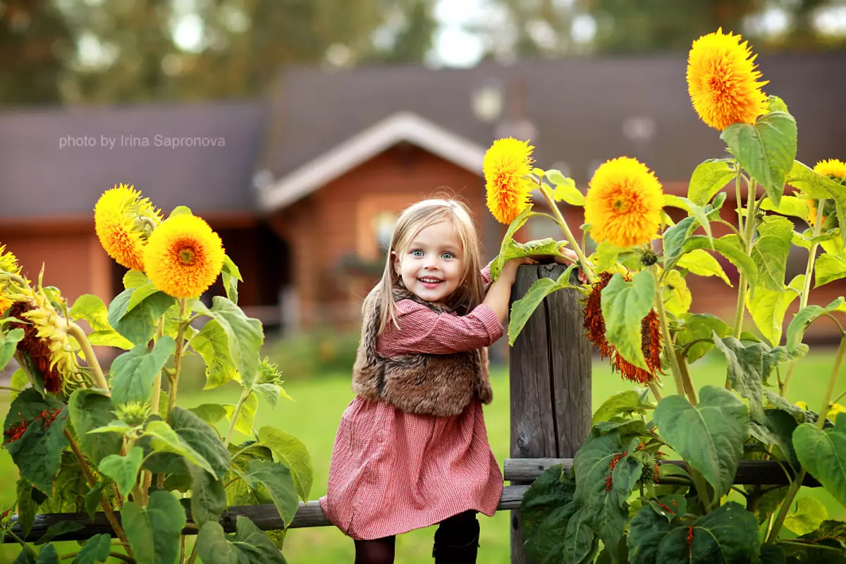 Miracle van die kinders se fotograaf Irina sapronova 11967_23