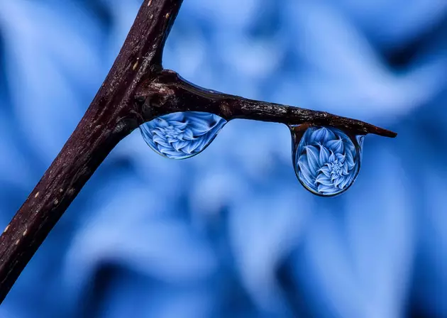 Paz en una gota de agua ... Parcelas encantadoras Dave Wood (Dave Wood) 11990_2