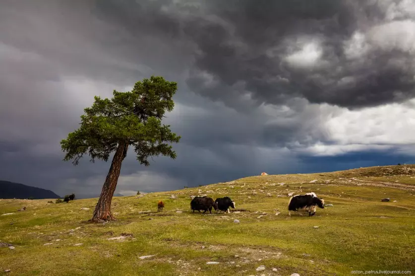 Nejkrásnější jezero Mongolska v Anton Peter Lens 12000_12