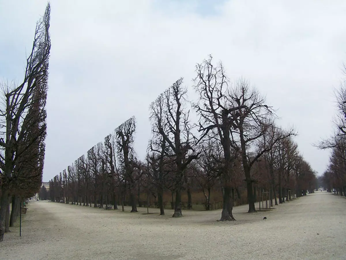 50 Erstaunliche Phantasie ohne Verarbeitung 12027_2