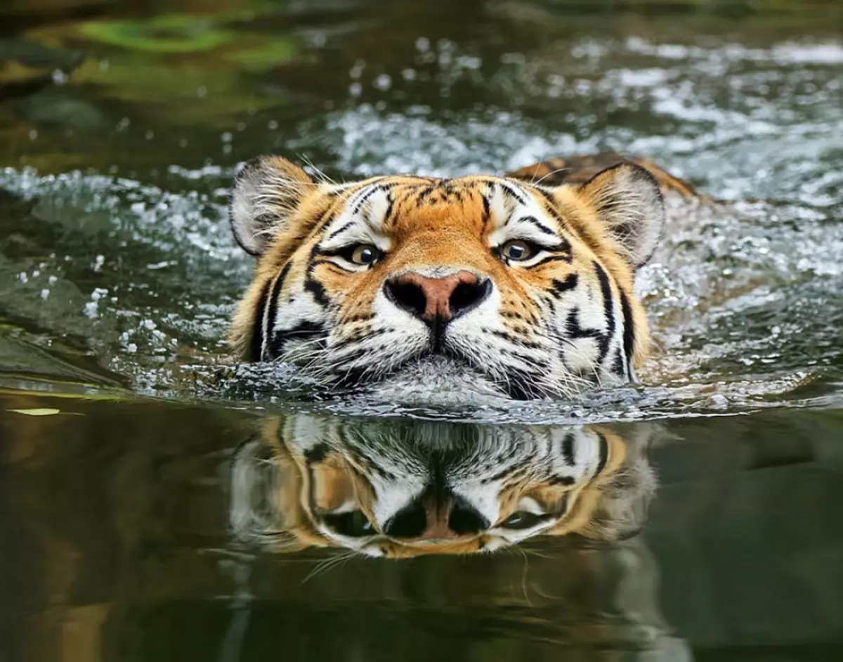 © Klaus Wiese Perspective