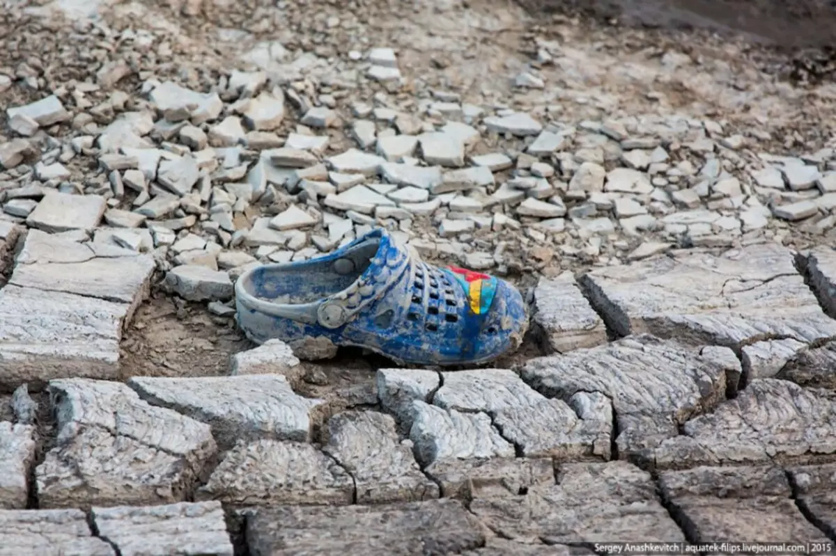 Volkano Gobustan Mud, Azerbaijan. Mpaka sary Sergey anashkevich 12174_16