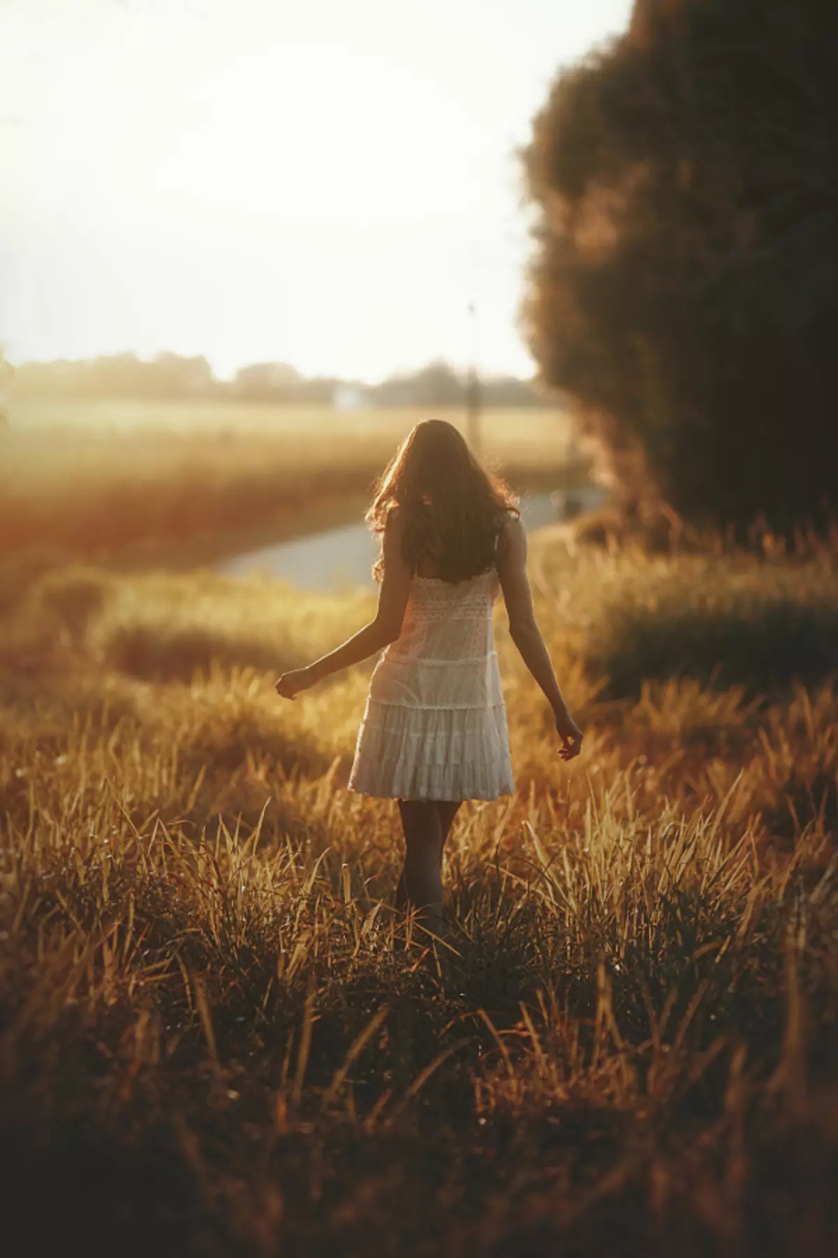 Vilinoši portreti ārā ... fotogrāfs tj drysdale 12186_14