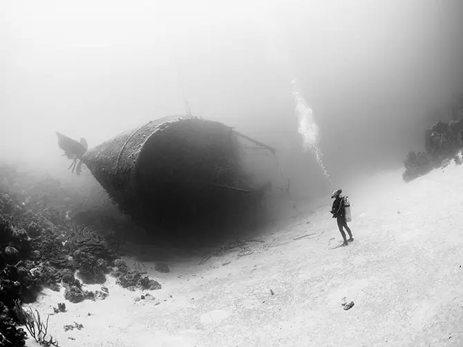 Линзада, 2015 елның июленнән Милли географик журналдан иң яхшы фотолар 12224_10