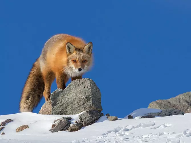 A la lent, les millors fotos de juliol de 2015 de la revista Nacional Geogràfica 12224_14