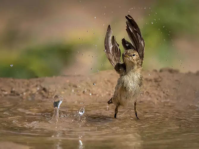 An den Objektiv, déi bescht Fotoen vum Juli 2015 aus der Magazin national Geographic 12224_16