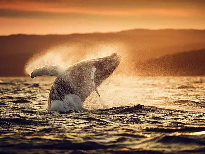 An den Objektiv, déi bescht Fotoen vum Juli 2015 aus der Magazin national Geographic 12224_17