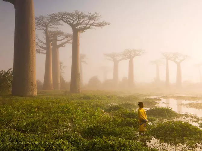 Di lensa, foto-foto terbaik Juli 2015 dari majalah National Geographic 12224_4