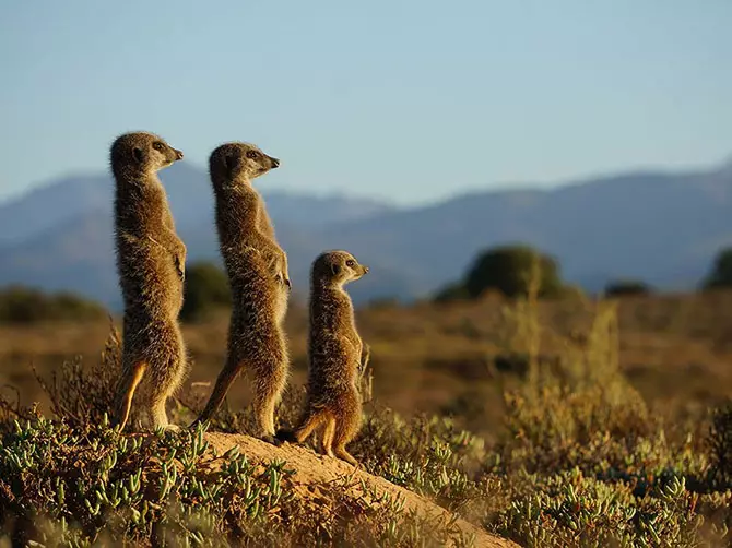 In die lens, die beste foto's van Julie 2015 van die tydskrif National Geographic 12224_9