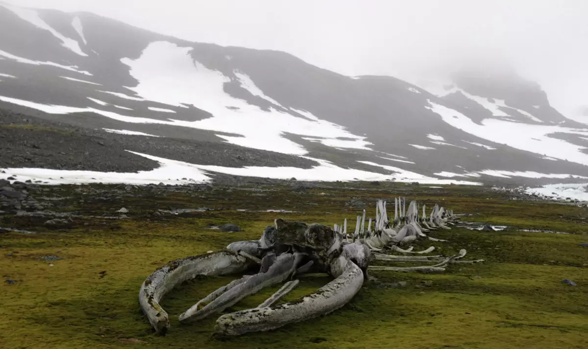 16. Modifisert isberg. Dette er Fata-Morgana - sjelden forekommende komplisert optisk fenomen i atmosfæren