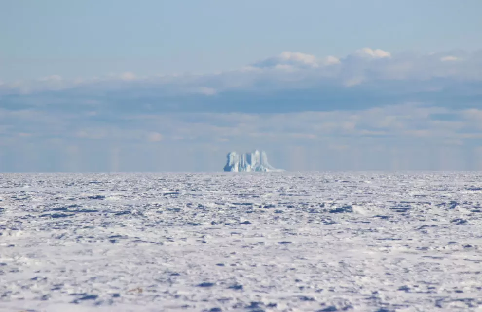 17.科特卡在羅斯海裡。 （照片Donald Leroi | Noaa Southwest Fisheries科學中心）：