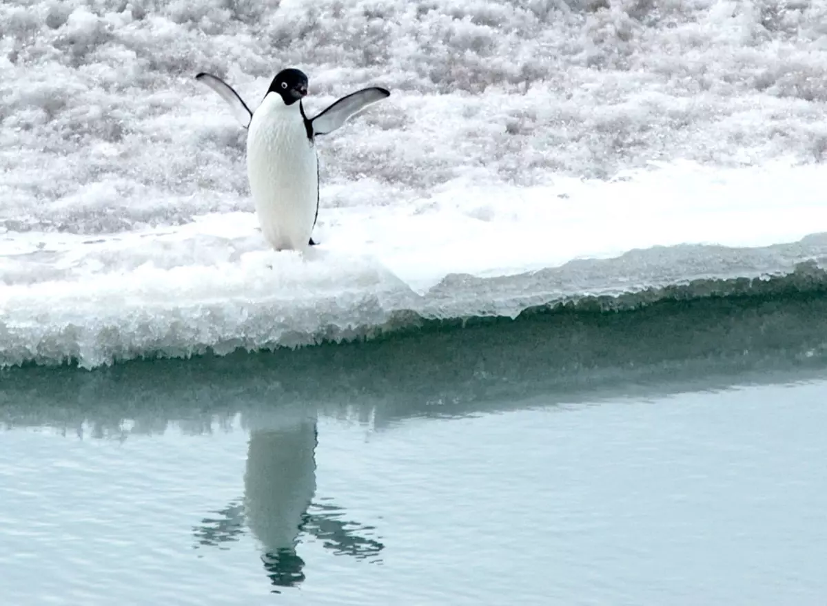 9. Vitenskapelig teleskop. (Foto Daniel Luong-Van | National Science Foundation):