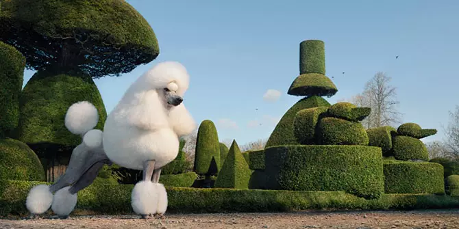 Masterpiece-foto's van dieren van Tim Flach (Tim Flach) 12244_10