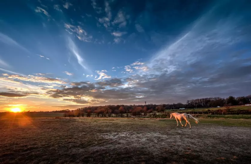 Allir unnendur landslagsmynda;)) Hestar, Field, Sunset ... 12254_5