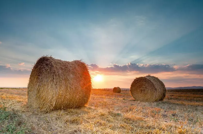 Miros unic de iarbă, apus de soare ... vară ... 12299_3