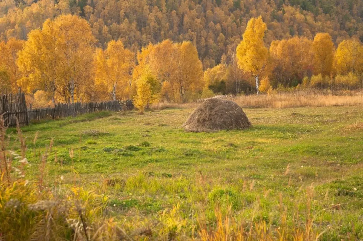 Miros unic de iarbă, apus de soare ... vară ... 12299_8