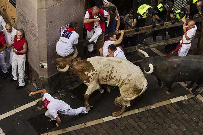 A bika lencse futtatásában és a San Fermin 2015-ös 