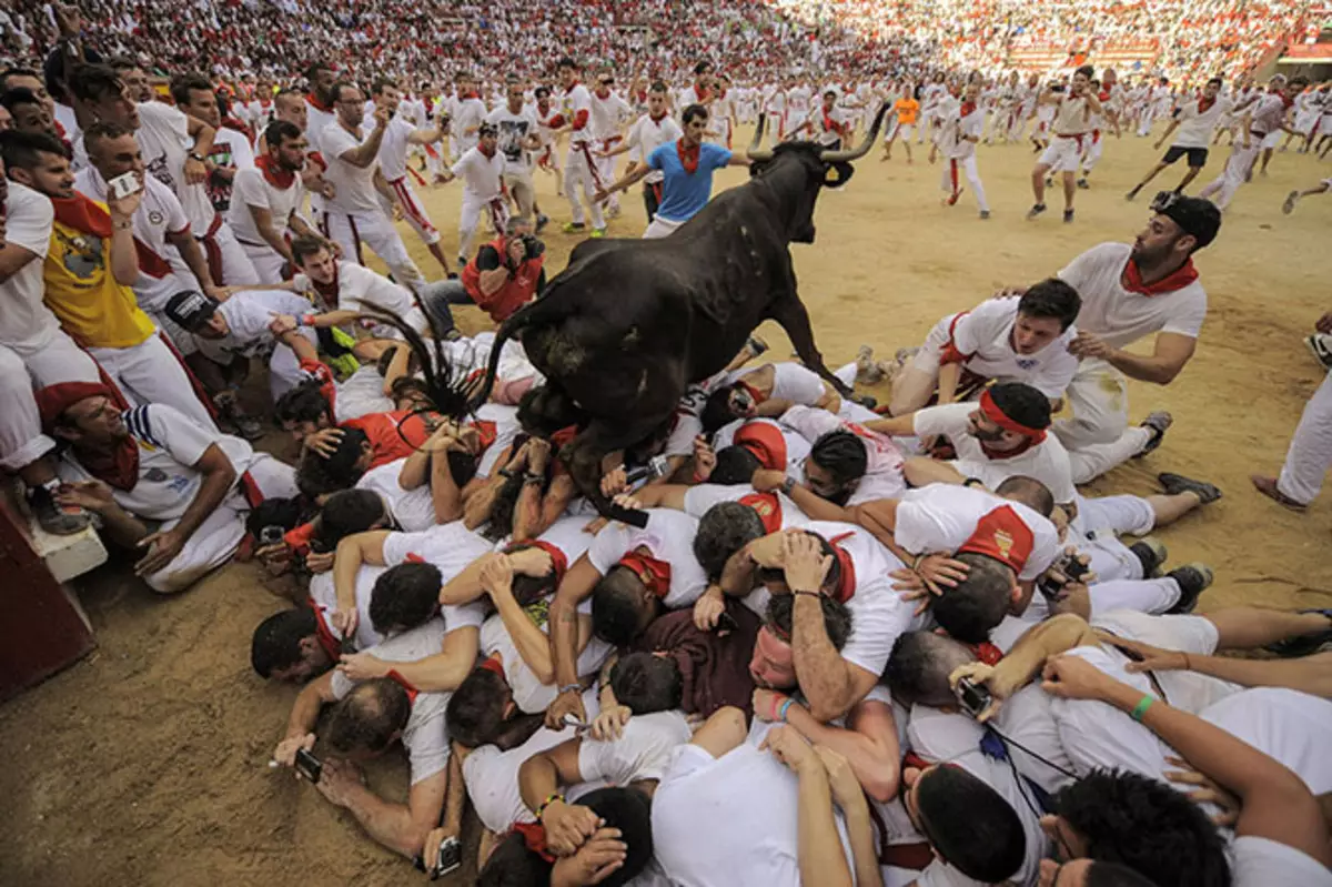 Bulls Run: San Fermin 2015