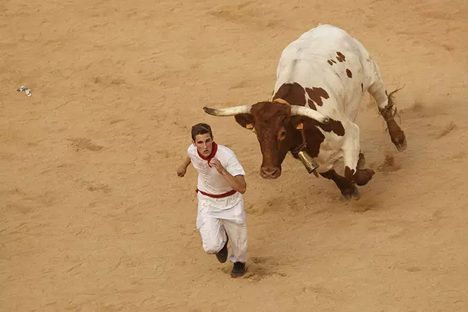 Bulls Run: San Fermin 2015