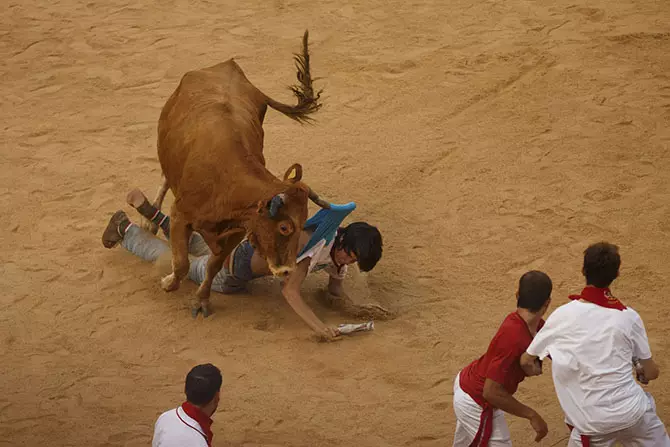 Öküzler: San Fermin 2015