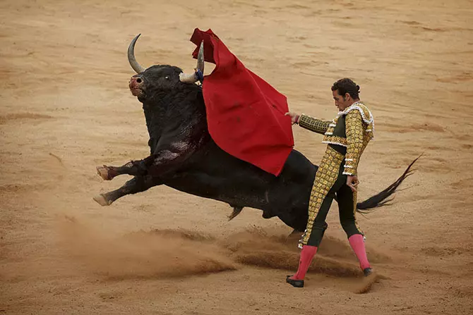 Bulls Run: San Fermin 2015