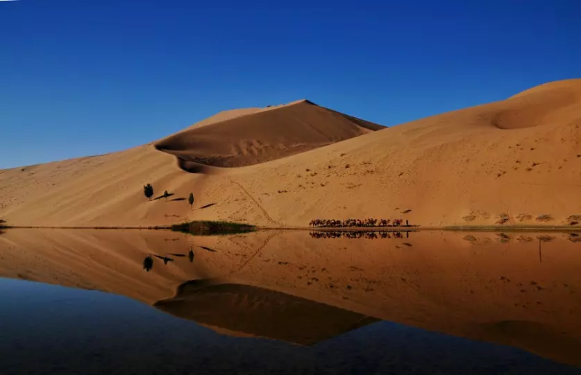 Amazing Natural Wonders ... 25 photos of the largest sand dunes on Earth 12415_8