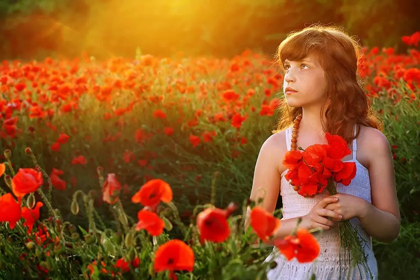 Red colors summer ... poppy fields 12431_23