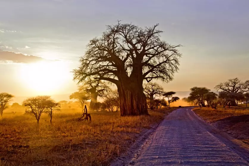 E khahla hampe ... Setšoantšo sa lifate tse ikhethang ka ho fetisisa tse lefatšeng 12439_19