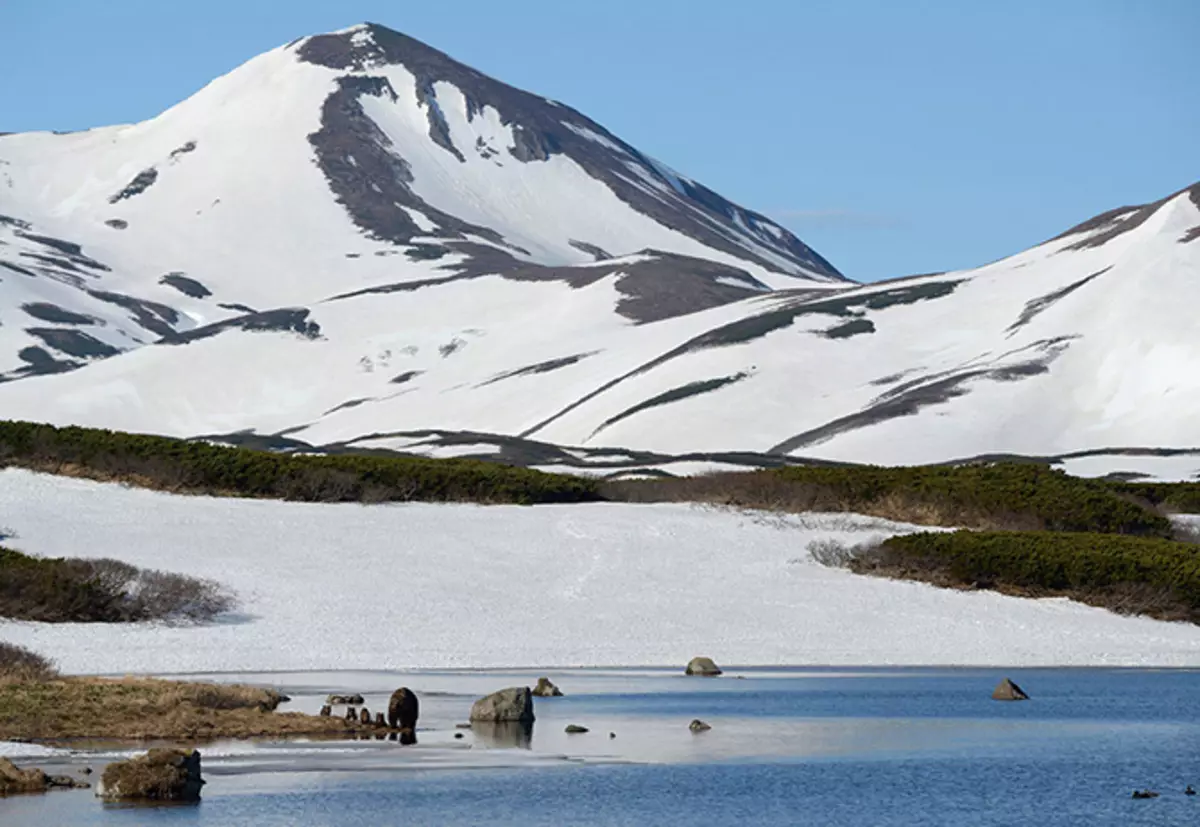 Com viuen els óssos a Kamchatka ... Fotògraf Igor Stilekok 12478_13