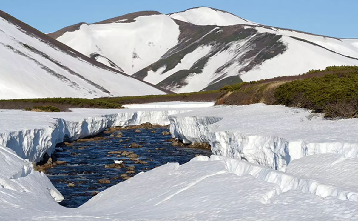 Com viuen els óssos a Kamchatka ... Fotògraf Igor Stilekok 12478_17