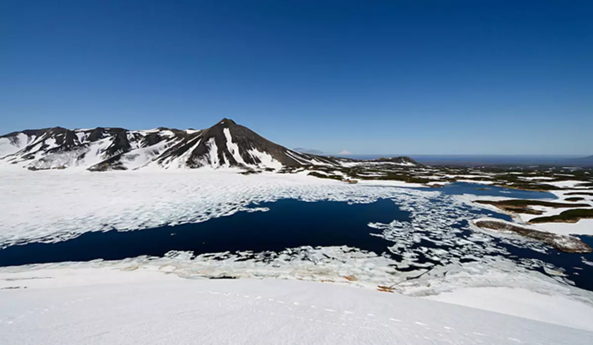 Cén chaoi a bhfuil Bears beo ar Kamchatka ... Grianghrafadóir Igor Stilekok 12478_5