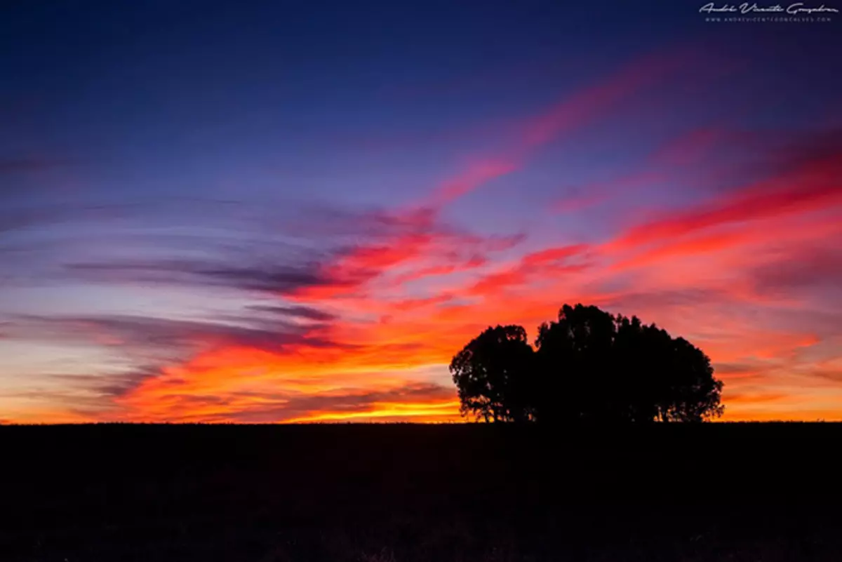 Indescrivibilmente bello ... Portogallo in Lens Andre Vicente Goncalves (Andre Vicente Goncalves) 12494_20