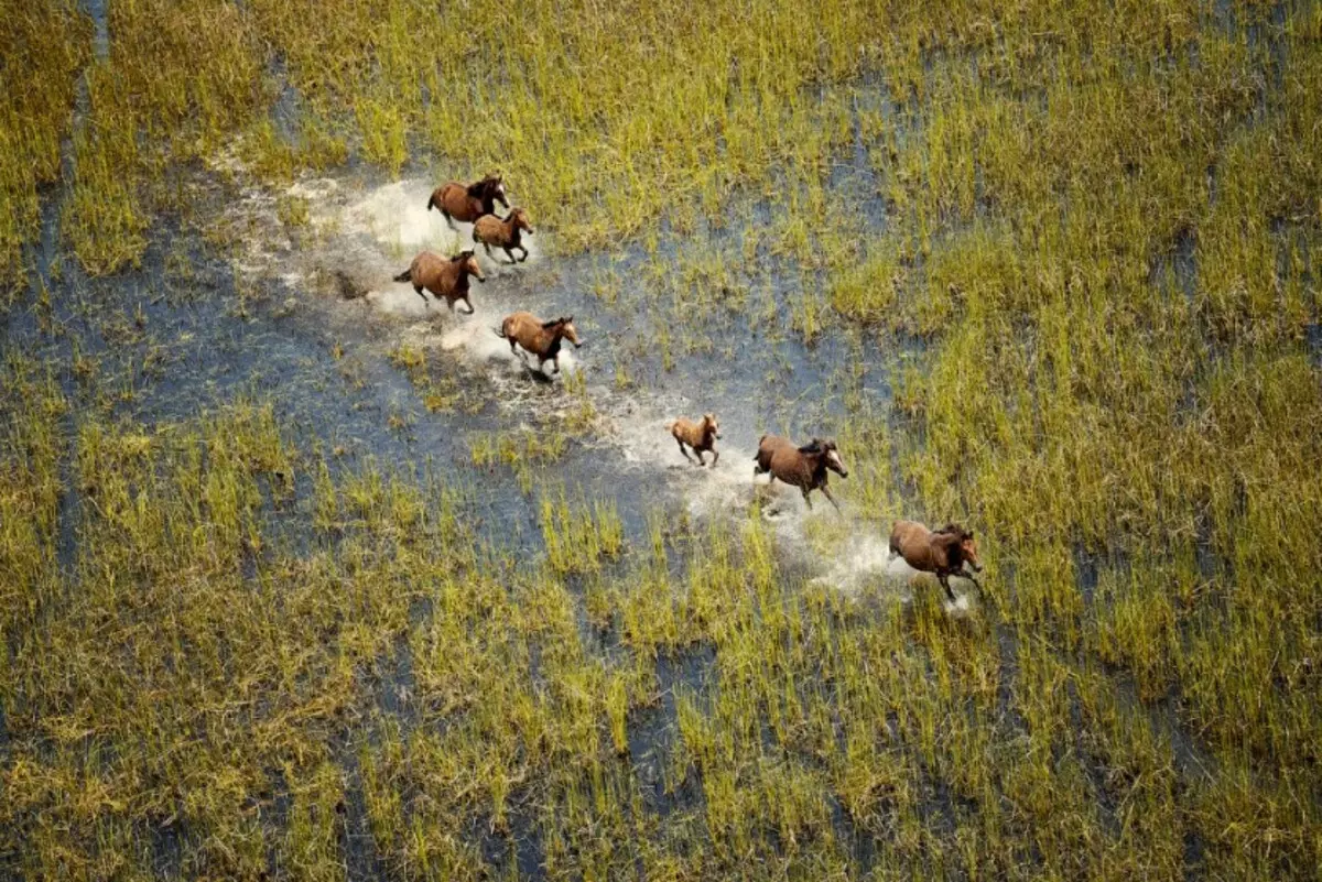 Работы конкурсу фатаграфій National Geographic Traveler 2015 12508_16