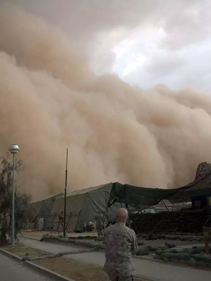 15. According to ecologists, in recent years, sand storms happen ten times more often than