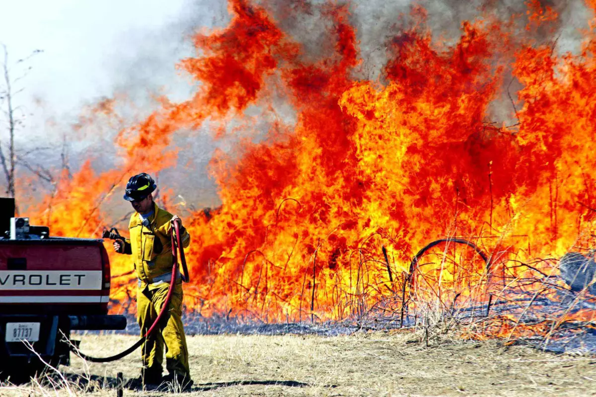 Foresting Forest Fires sa Iowa.