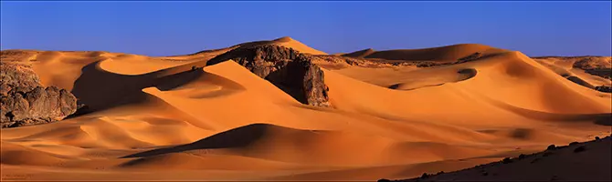 O maior deserto ... Açúcar na lente Peter Ushanova 12540_20