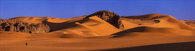 O maior deserto ... Açúcar na lente Peter Ushanova 12540_21