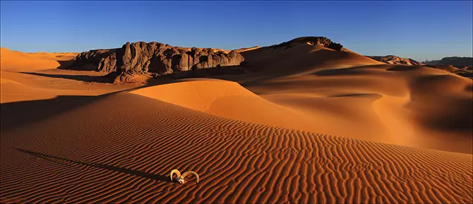 O maior deserto ... Açúcar na lente Peter Ushanova 12540_22