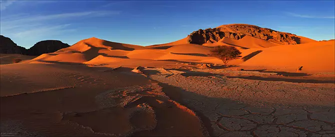 O maior deserto ... Açúcar na lente Peter Ushanova 12540_26