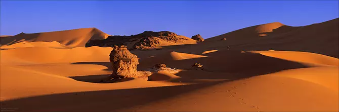 O maior deserto ... Açúcar na lente Peter Ushanova 12540_5