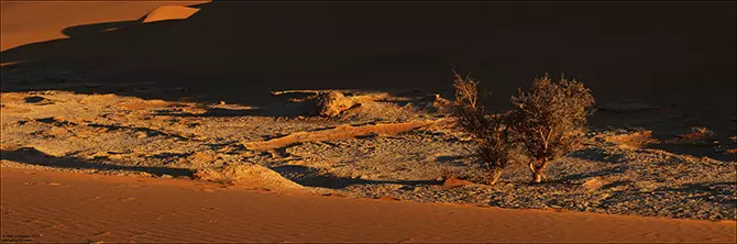 O maior deserto ... Açúcar na lente Peter Ushanova 12540_7