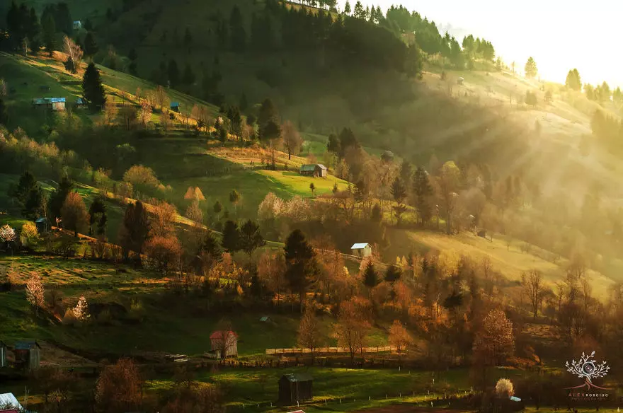 Tempat misterius dengan hutan lebat ... Alex Robciuc Transylvania (Alex Robciuc) 12620_6